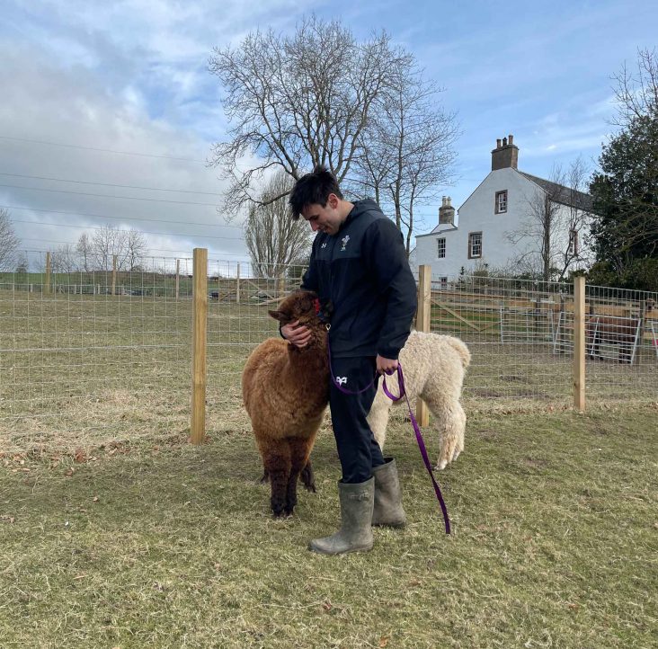 Animal Assisted Activities - At Birkhill House